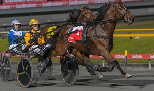 News Article - Australian Harness Racing