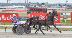Top Stories - Australian Harness Racing