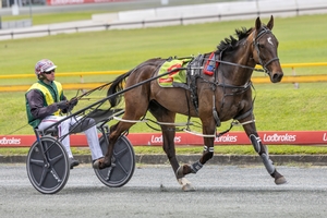Top Stories - Australian Harness Racing