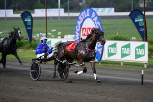 Top Stories - Australian Harness Racing