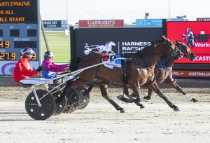 Racing Office - Australian Harness Racing