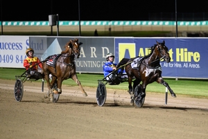 Top Stories - Australian Harness Racing