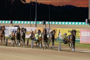 News Article - Australian Harness Racing