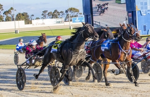 News Article - Australian Harness Racing