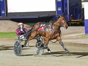 News Article - Australian Harness Racing