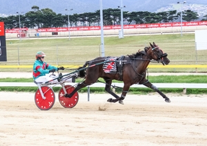 News Article - Australian Harness Racing