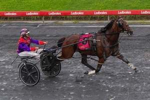 News Article - Australian Harness Racing