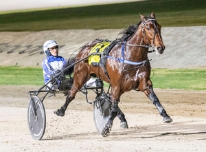 News Article - Australian Harness Racing