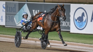 News Article - Australian Harness Racing