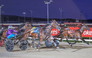News Article - Australian Harness Racing