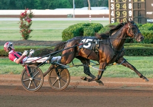 Top Stories - Australian Harness Racing