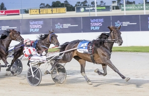 News Article - Australian Harness Racing