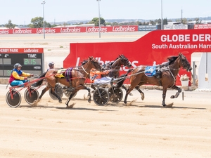 News Article - Australian Harness Racing