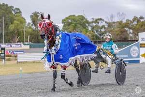 News Article - Australian Harness Racing
