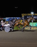 Top Stories - Australian Harness Racing