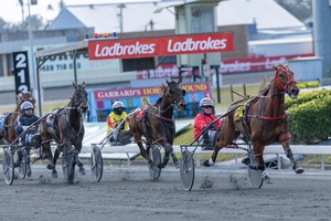 News Article - Australian Harness Racing