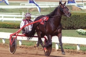 News Article - Australian Harness Racing