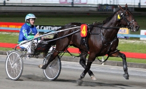 News Article - Australian Harness Racing