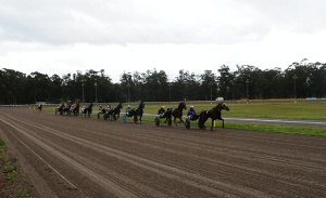 News Article - Australian Harness Racing