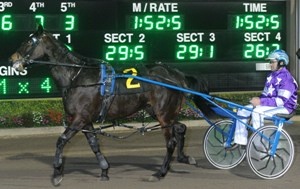 News Article - Australian Harness Racing
