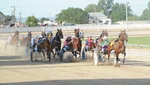 News Article - Australian Harness Racing