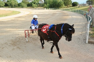News Article - Australian Harness Racing