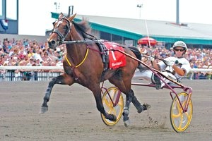 News Article - Australian Harness Racing