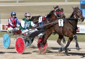 News Article - Australian Harness Racing