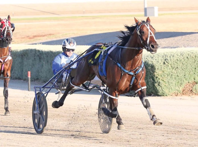 Home - Australian Harness Racing