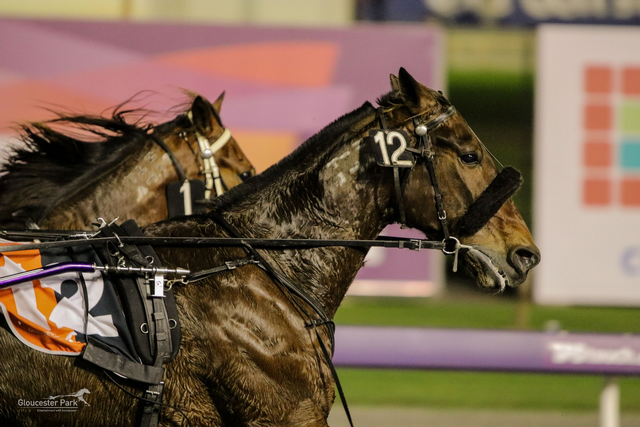 Albion Park - Queensland - Australian Harness Racing