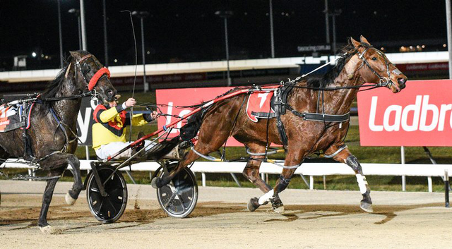 Pinjarra - Western Australia - Australian Harness Racing