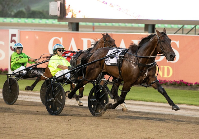 Echuca - Victoria - Australian Harness Racing