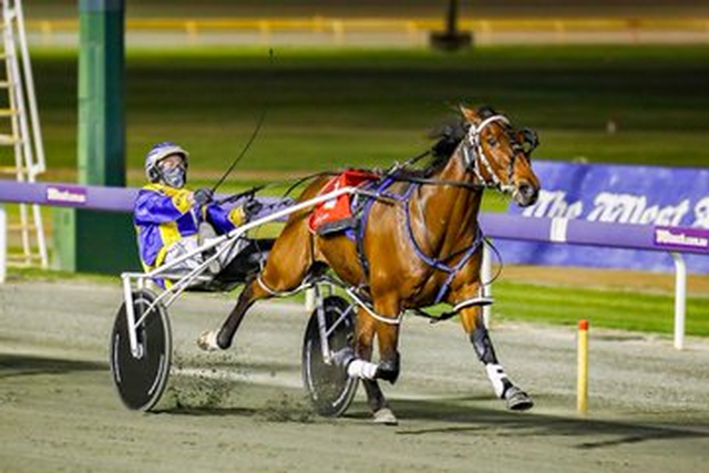 Pinjarra - Western Australia - Australian Harness Racing