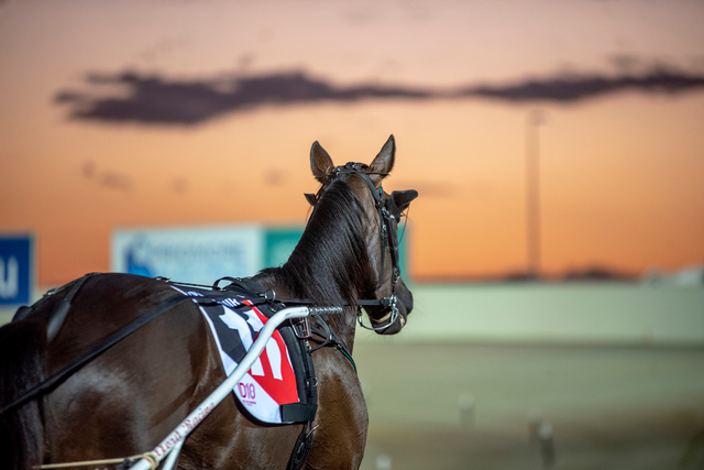 Pinjarra - Western Australia - Australian Harness Racing