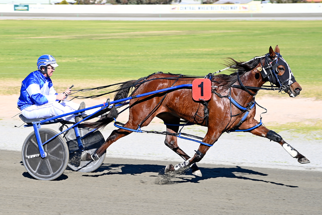 Home - Australian Harness Racing