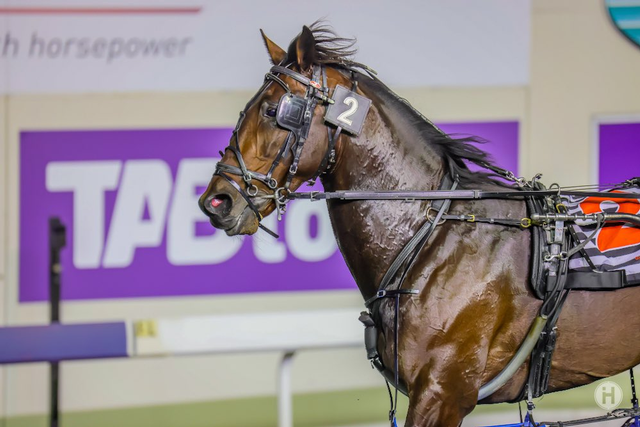 Tabcorp Park Melton - Victoria - Australian Harness Racing