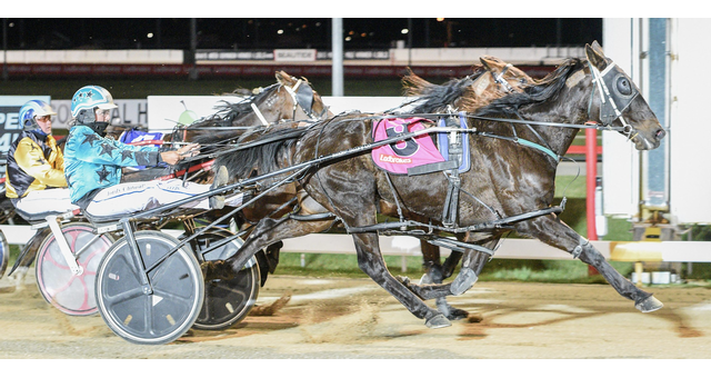 Redcliffe - Queensland - Australian Harness Racing