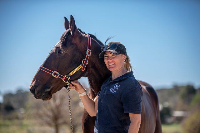 Pinjarra - Western Australia - Australian Harness Racing