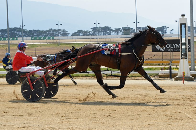 Home - Australian Harness Racing