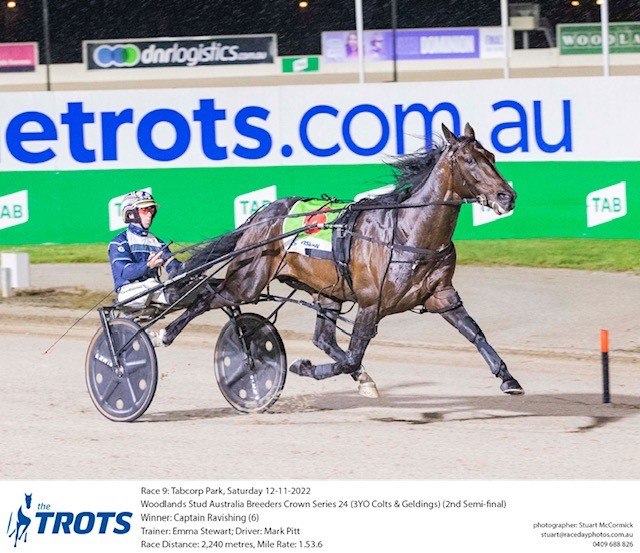 Pinjarra - Western Australia - Australian Harness Racing
