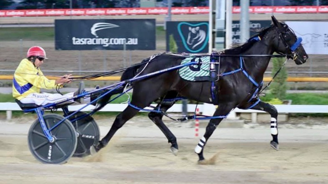 Home - Australian Harness Racing