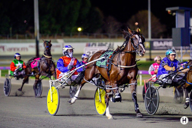 Home - Australian Harness Racing