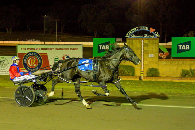 Home - Australian Harness Racing