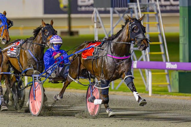 Warragul - Victoria - Australian Harness Racing