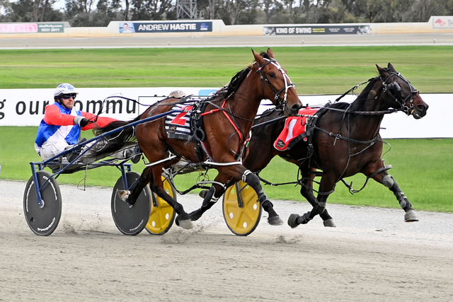 Home - Australian Harness Racing
