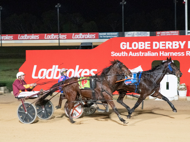 Home - Australian Harness Racing