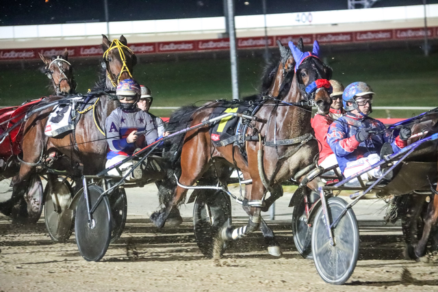 Home - Australian Harness Racing