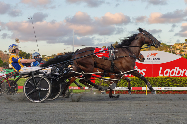 Home - Australian Harness Racing