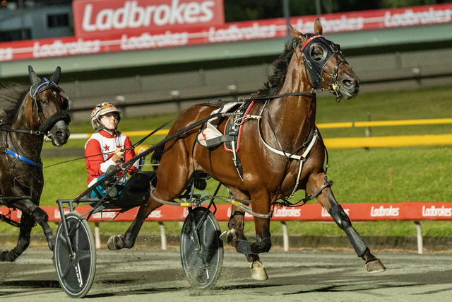 Home - Australian Harness Racing
