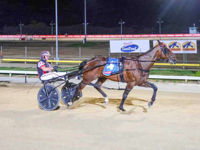 Home - Australian Harness Racing